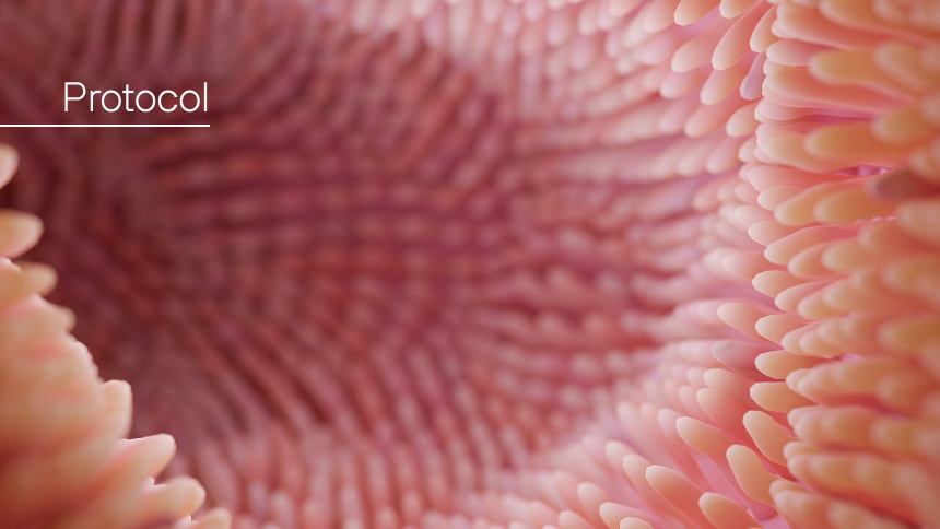 Protocol: Support Intestinal Barrier Function